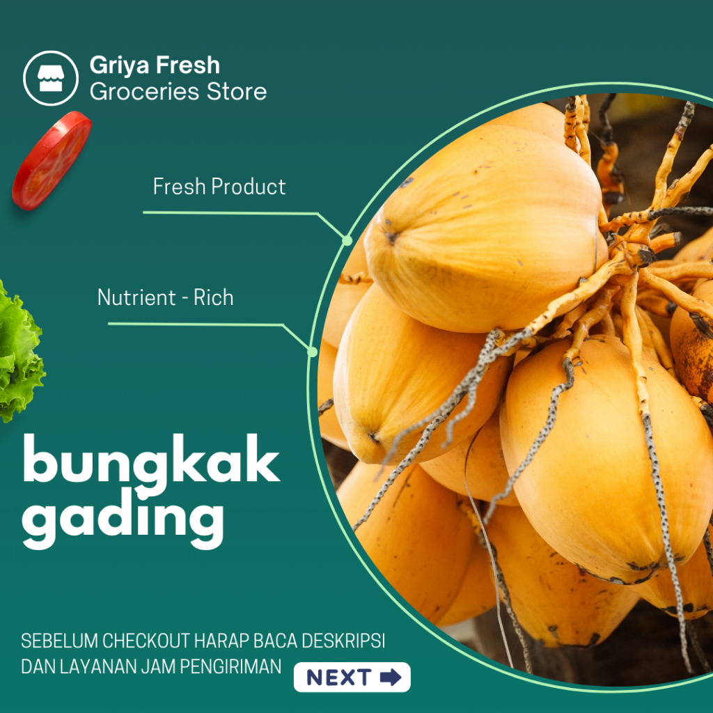 Jual Bungkak Gading Fresh Ukuran Kecil 1 Buah - Kirim Instant | Shopee ...