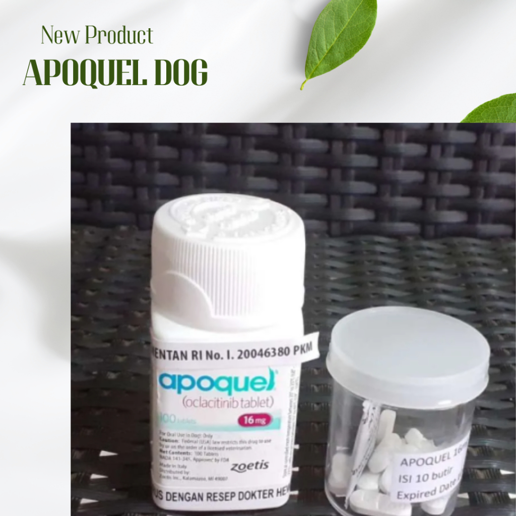 Jual Apoquel Obat Anti Gatal Anjing Kucing Hewan Lainnya (Tablet 3,6mg ...