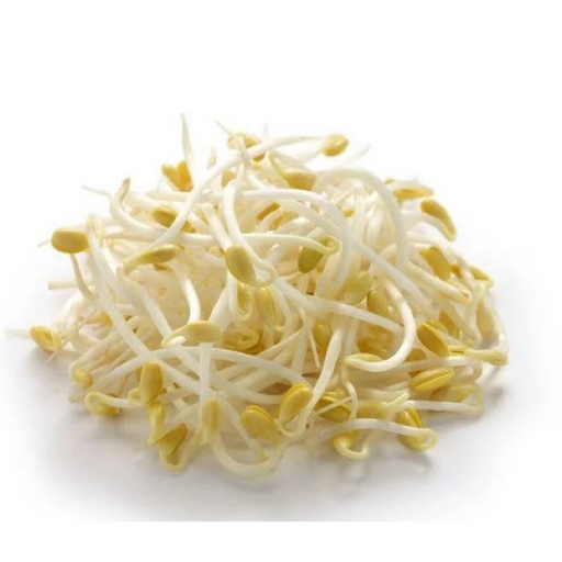 Jual Sayur Toge Tauge Segar Fresh 100 Gram | Shopee Indonesia