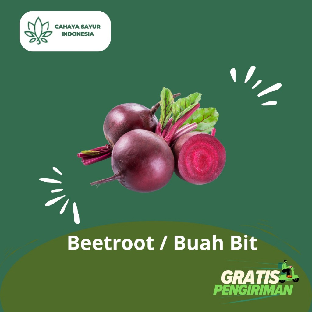 Jual Beetroot / Buah Bit Segar 1kg + Gratis Ongkir | Shopee Indonesia