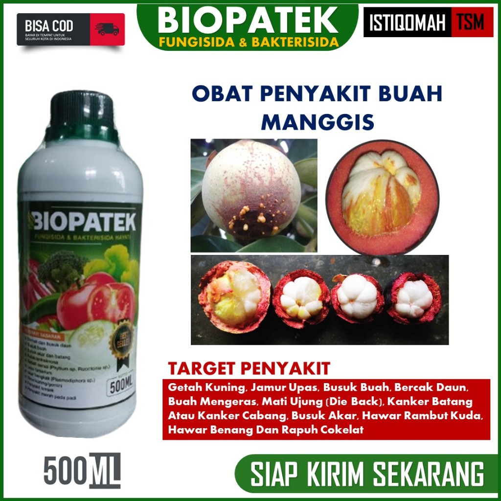 Jual Inovasi Terbaru dalam Perlindungan Manggis: Fungisida Unggul untuk ...