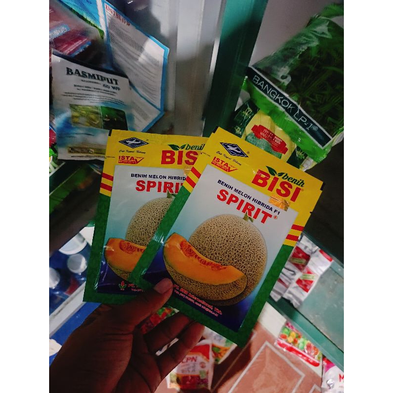 Jual Benih Bibit Melon Spirit F1, Tipe Daging Orange (Disukai Pasar ...
