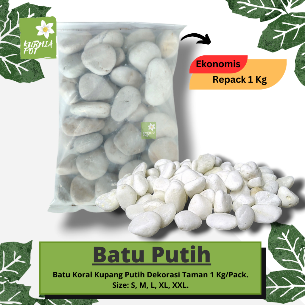 Jual Batu Koral Alam Kupang Putih 1 Kg Media Taman Tanaman Aquascape Hias | Shopee Indonesia