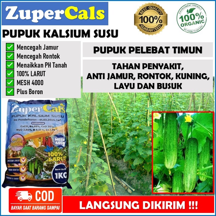 Jual pupuk tepung pelebat timun anti busuk - ZUPERCALS PUPUK KALSIUM ...