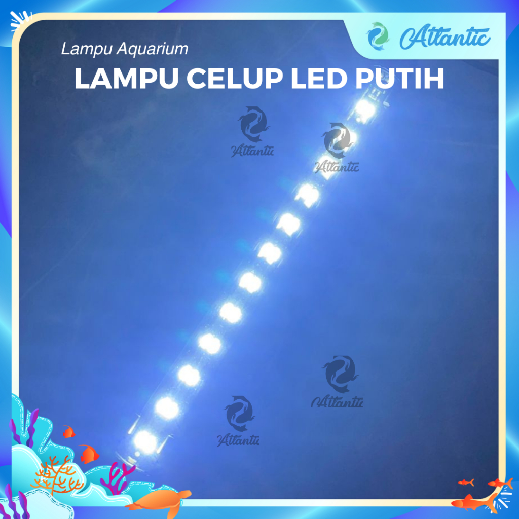 Jual LED Celup 20 30 cm Lampu Celup Aquarium Aquascape 30cm | Shopee ...