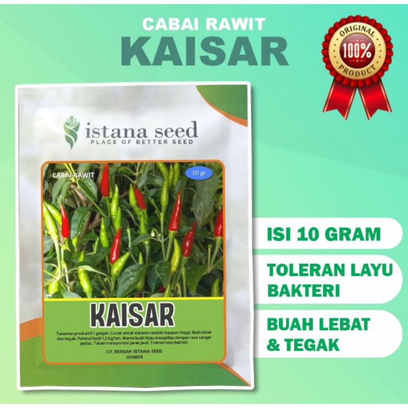 Jual Benih cabe rawit japlak hijau cabai cengek KAISAR dari ISTANA SEED ...