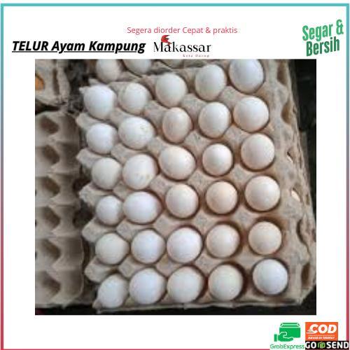 Jual Telur Ayam Kampung Per-10 biji Dan Per-Rak,Murah Makassar,Telur ...