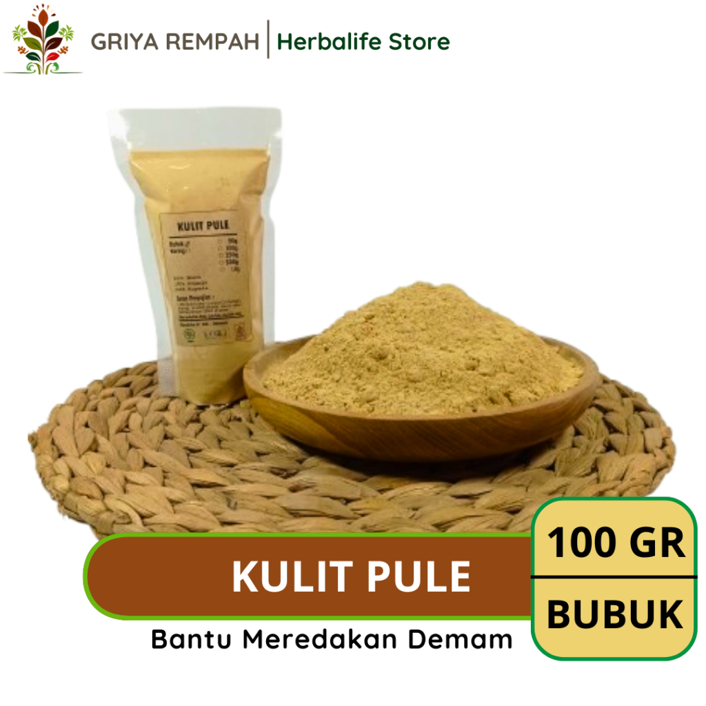 Jual KULIT KAYU PULE BUBUK 100 GRAM Rempah Herbal Simplisia Alami untuk ...