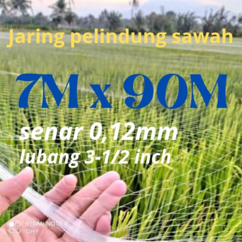 Jual jaring burung emprit/jaring sawah/jaring padi"senar 0,12mm"lobang 3 inch"7x90 meter ...