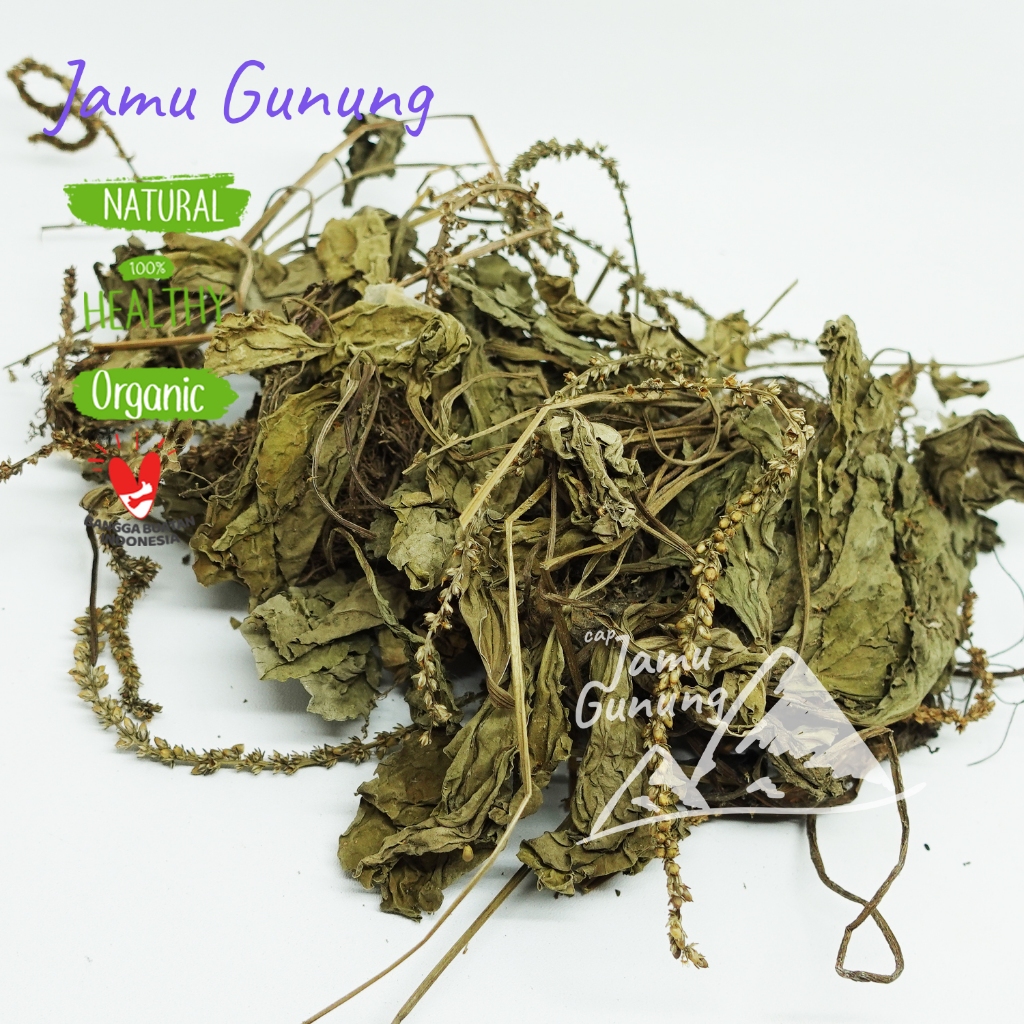 Jual Daun Sendok 1kg Kering Sendokan Asli | Shopee Indonesia