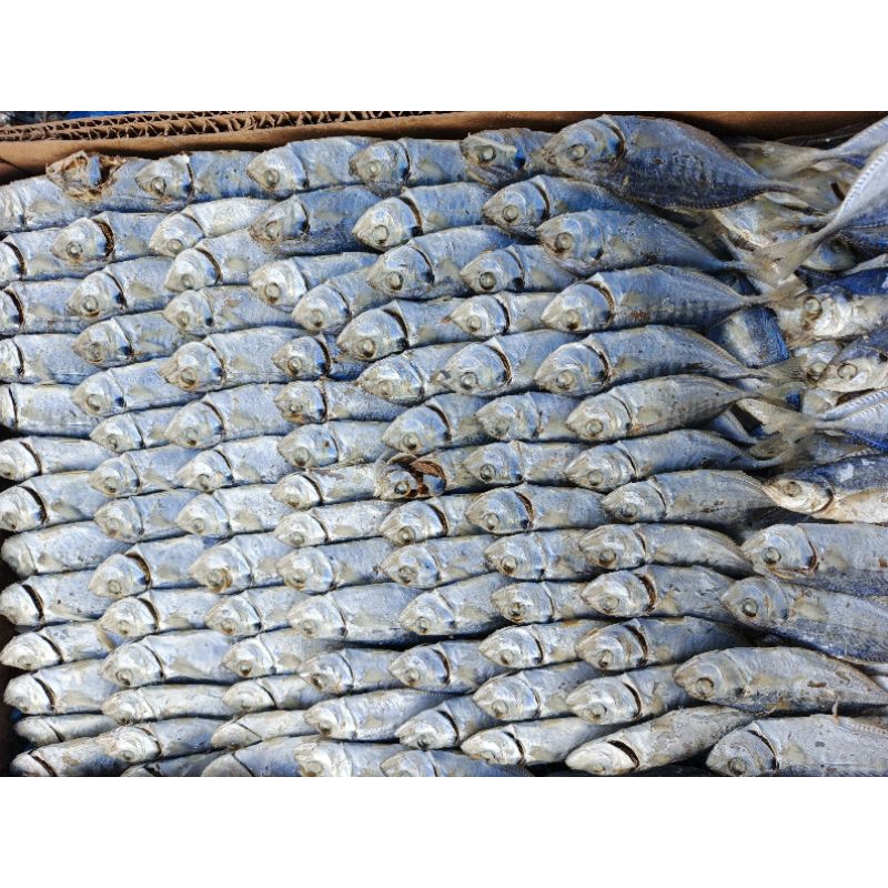 Jual Ikan Gelek Ikan Selar Rebus | Shopee Indonesia