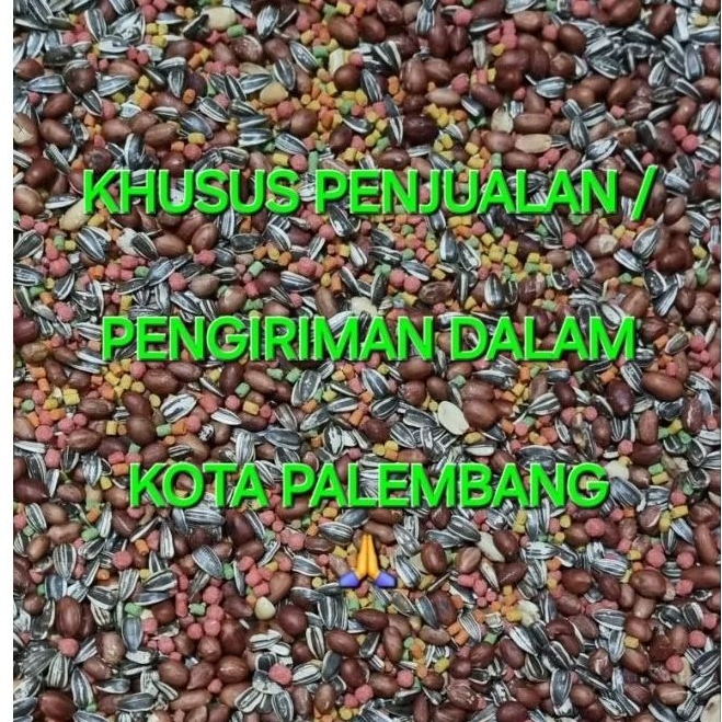 Jual Tedmond 1000 Liter Terlengkap & Harga Terbaru Mei 2026 | Shopee ...