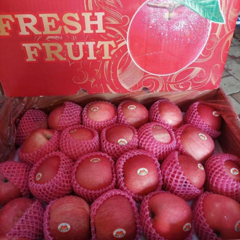 Jual APEL FUJI FRESH MANIS GARING PER 1DUS ISI 88PCS & 100PCS BERAT ...