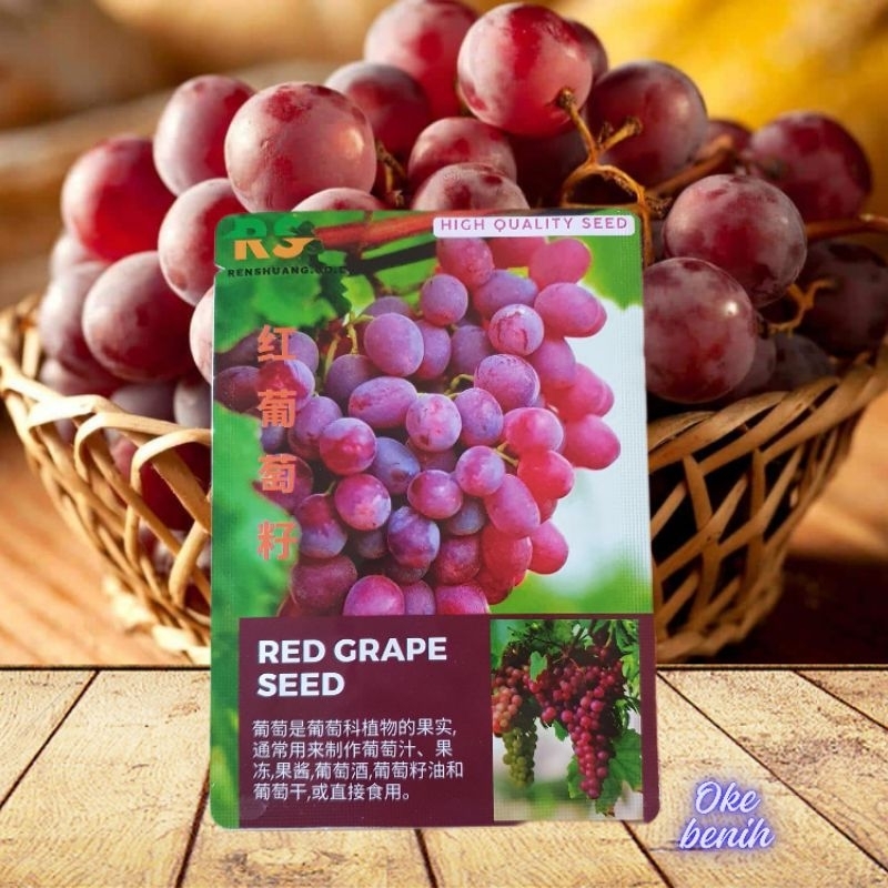 Jual KEMASAN ORIGINAL 30 BUTIR BENIH BUAH ANGGUR MERAH IMPORT | Shopee ...