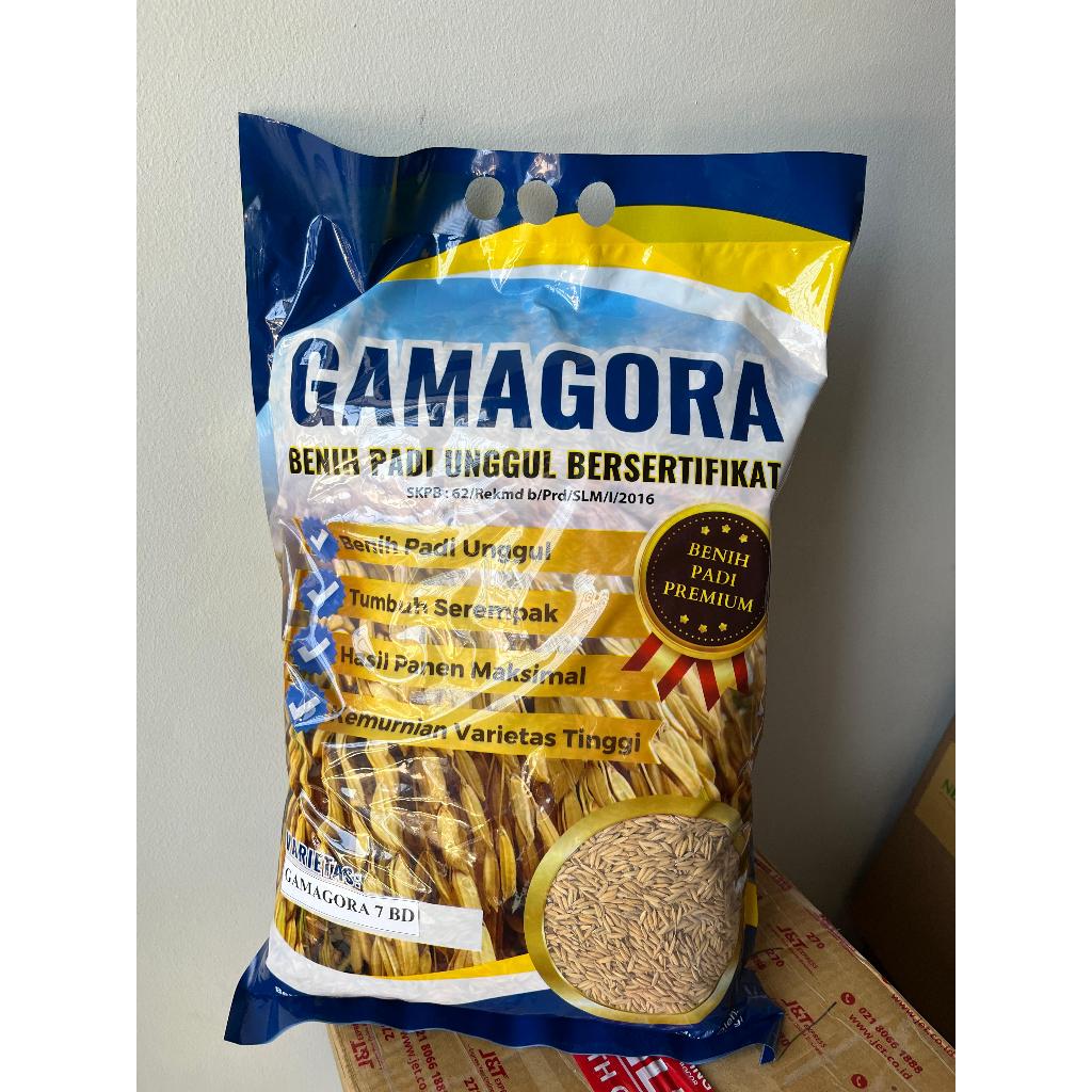 Jual Benih Padi Amphibi Grade A Varietas Unggul GAMAGORA - Mudah Ditanam, Bisa di Pot, atau ...