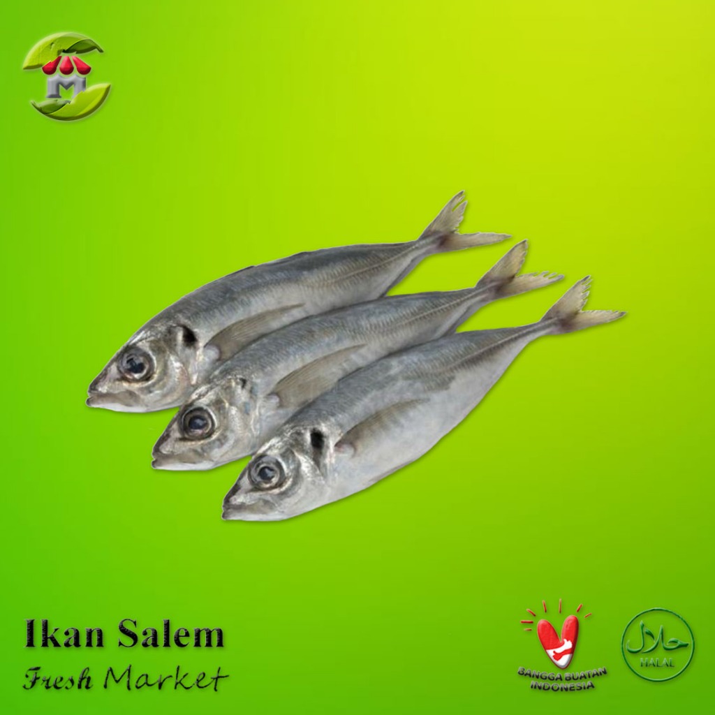 Jual [JAKPUS] Ikan Layang IQF Pack 900gr - 1kg | Shopee Indonesia