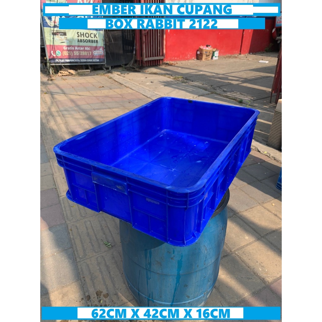 Jual Box Rabbit 2122 Bak Kura kura Bak Magot Kandang Reptil Box Rapat ...