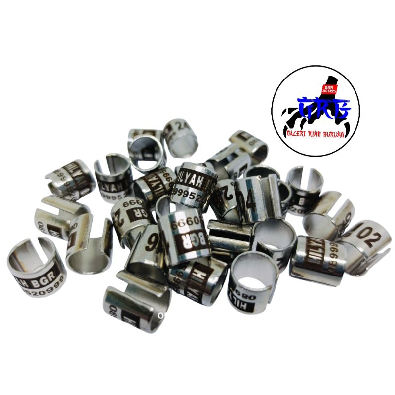 Jual RING MERPATI DEWASA BAJA BELAH VARIASI CETAK NAMA | Shopee Indonesia