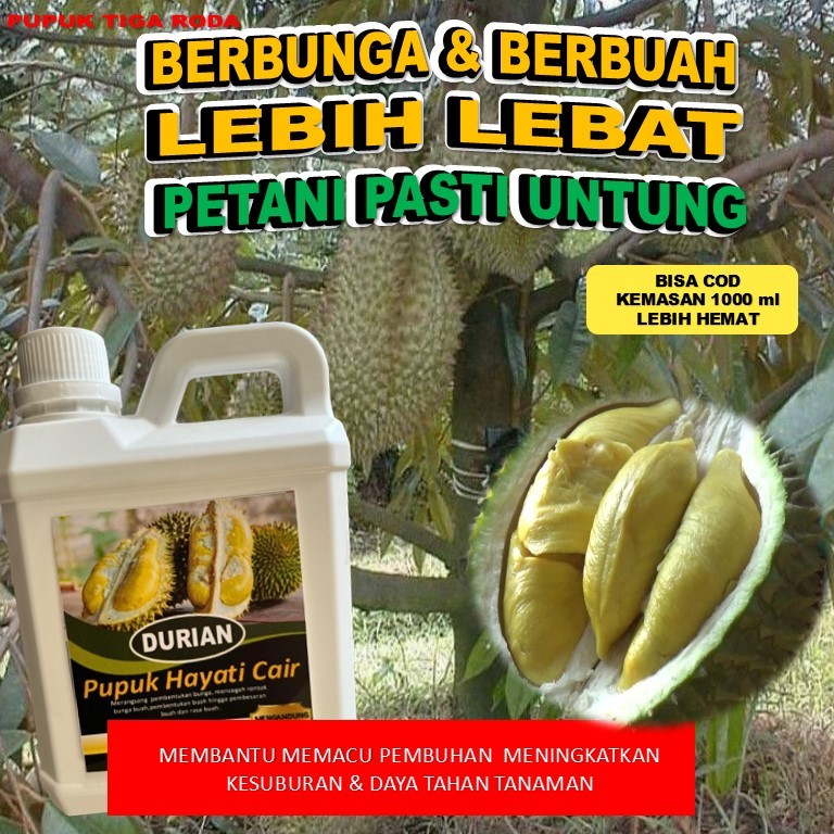 Jual Pupuk Booster Pelebat Buah Durian Organik / Pupuk Durian Pemacu dan Pelebat Buah Durian ...
