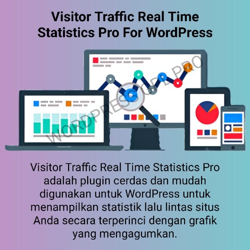 Jual Visitor Traffic Real Time Statistics Pro Plugin | Premium WordPress Plugin Theme | Shopee ...