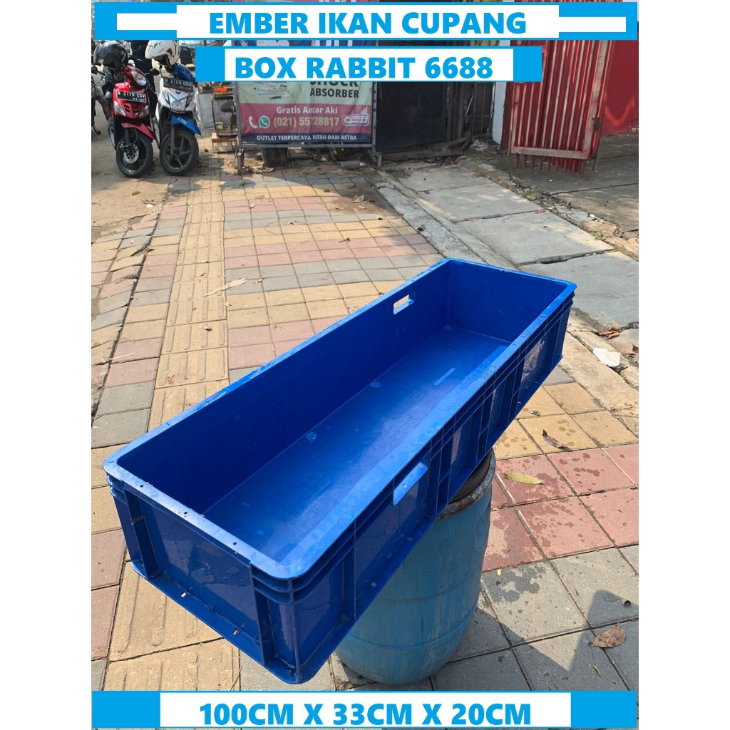 Jual Box serbaguna tipe 1meter wadah Ikan reptil kura budidaya ikan ...