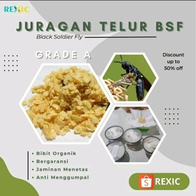 Jual Telur Maggot BSF 10 gram | Shopee Indonesia
