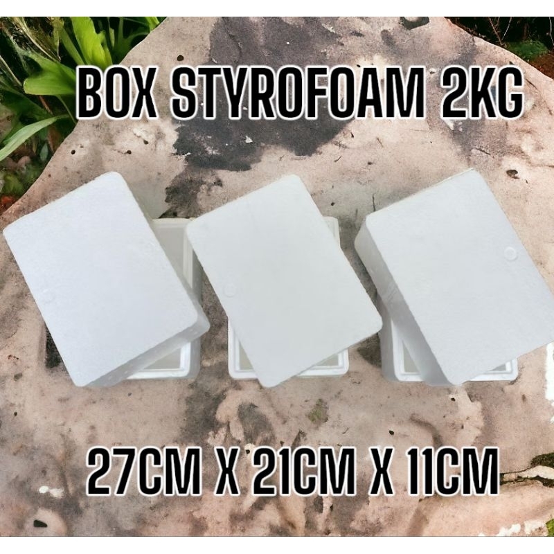 Jual BOX STYROFOAM 2KG | BOX GABUS 2KG | Shopee Indonesia