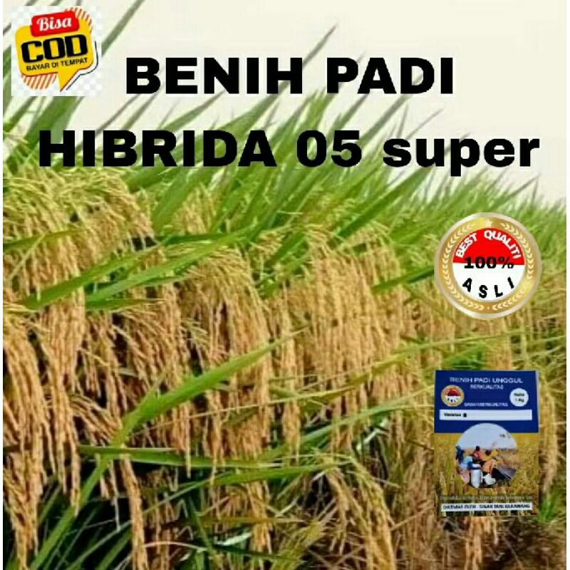 Jual BENIH PADI HIBRIDA 05 SUPER KEMASAN 1KG | Shopee Indonesia