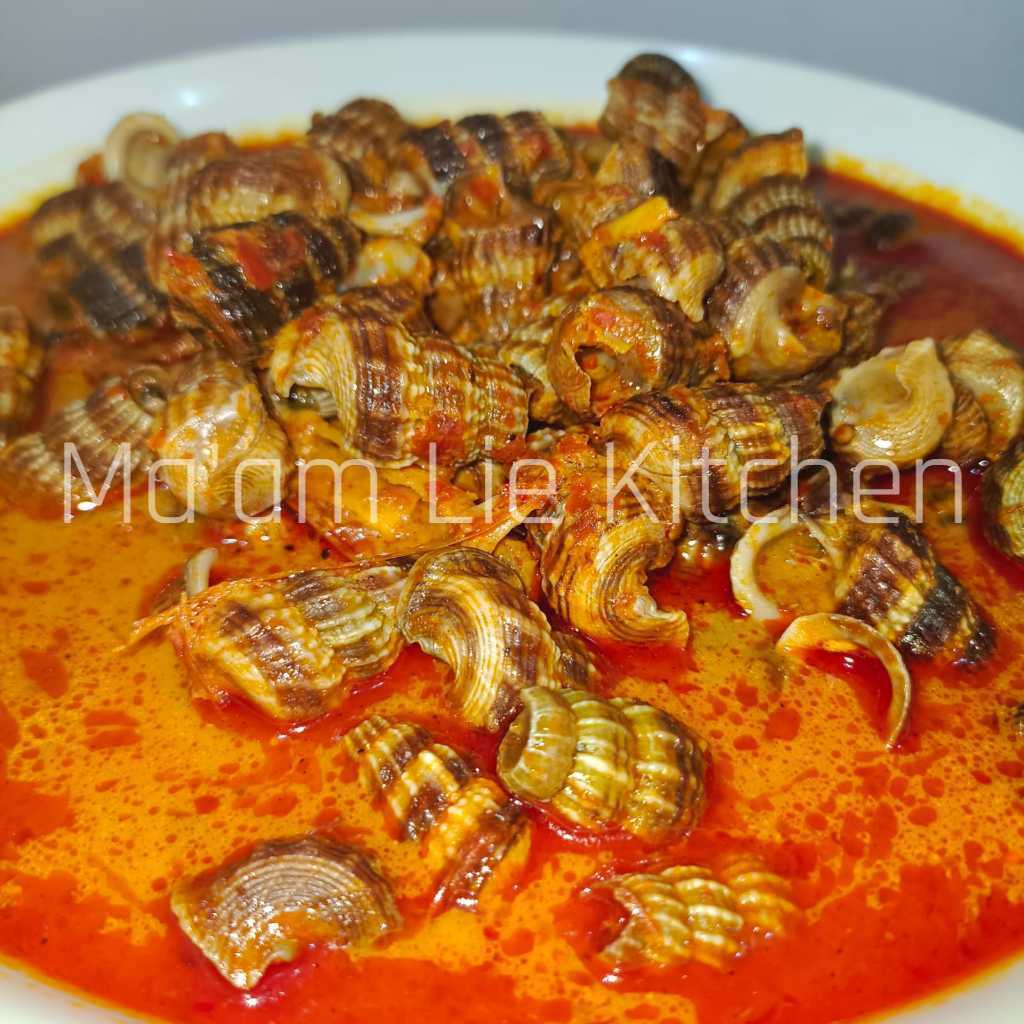 Jual Gulai Katanglo / Keong Nenek Khas Kalimantan | Shopee Indonesia