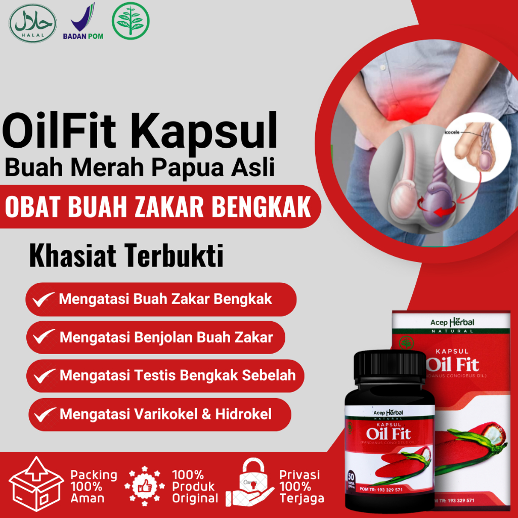 Jual Obat Buah Zakar Bengkak Benjolan Di Buah Zakar Penghilang Benjolan ...