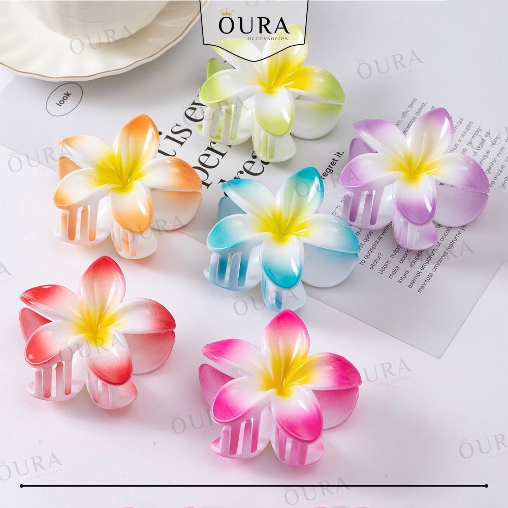 Jual Jedai Bunga Kamboja Gradasi 8 Cm Hair Clip Flower Jepit Rambut ...