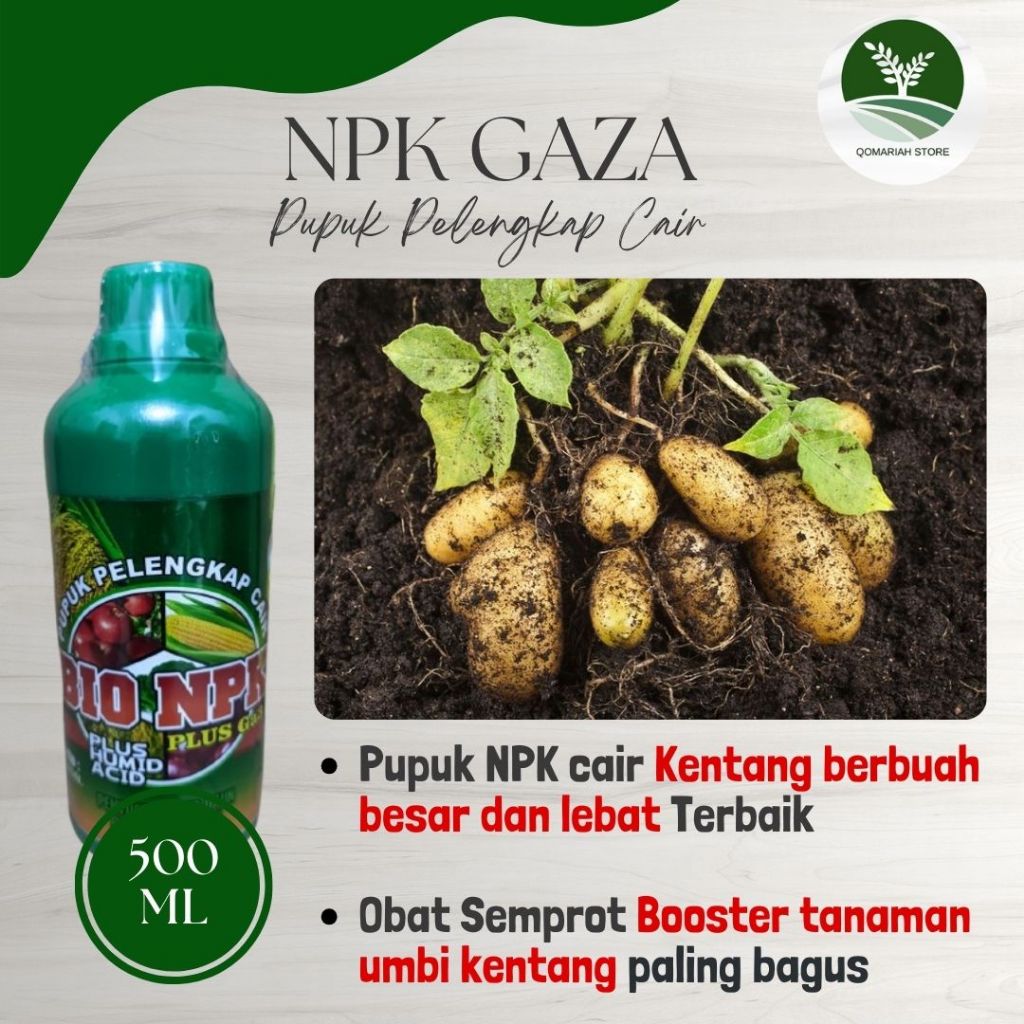 Jual Obat Semprot Pelebat Umbi Kentang Besar Bagus NPK GAZA 500ML ...