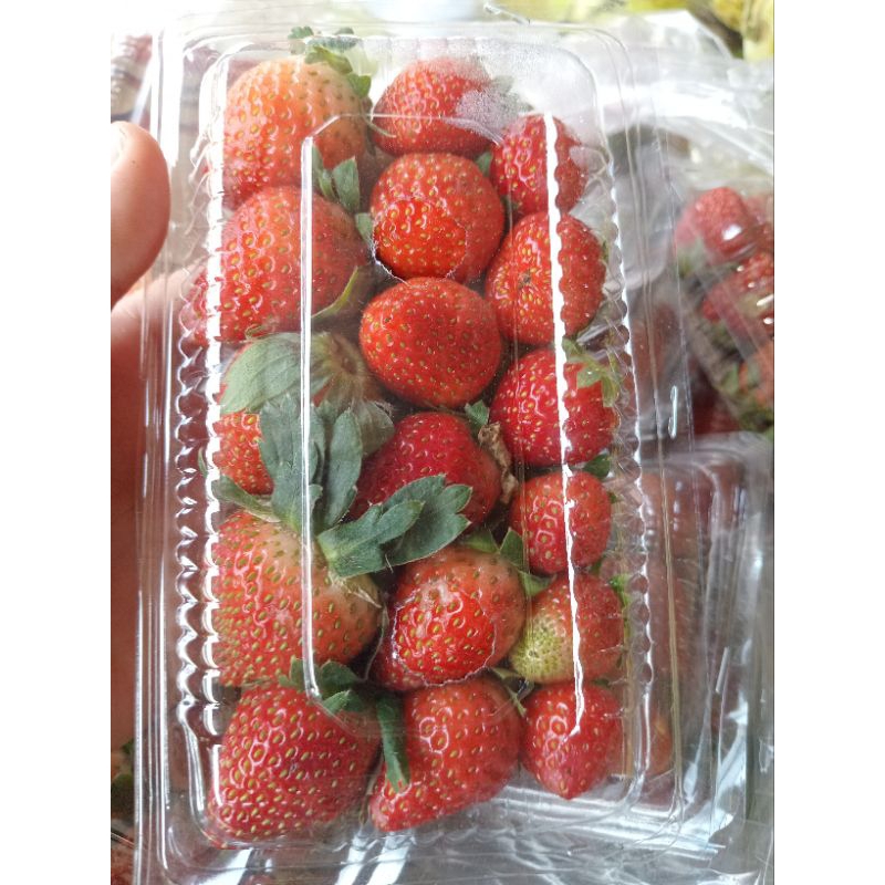 Jual buah strawberry segar pack mika kecil | Shopee Indonesia