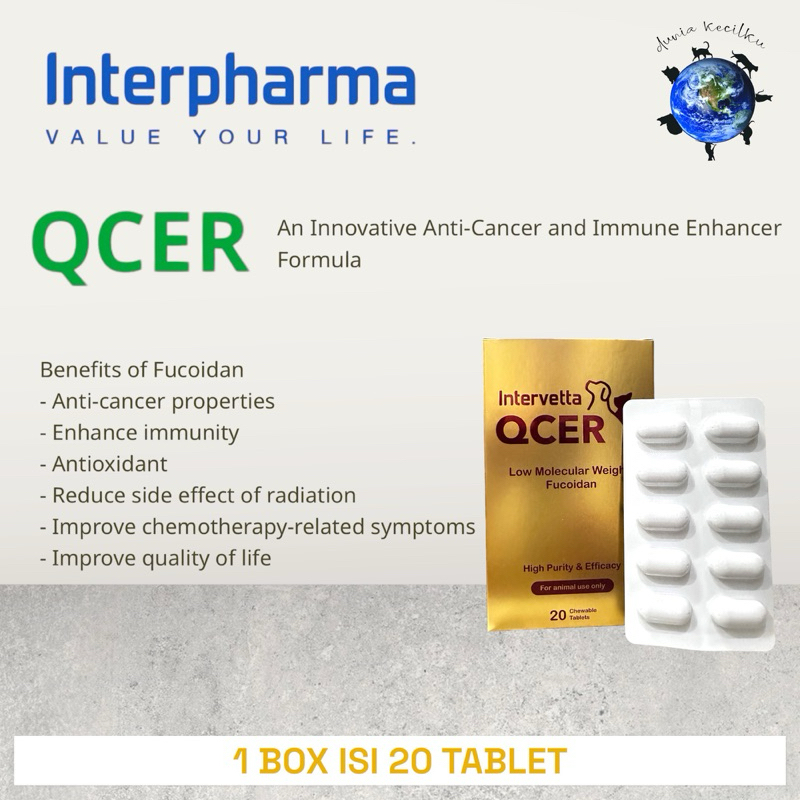 Jual Intervetta Qcer Obat Kanker & Tumor Anjing Kucing Plus Imun ...
