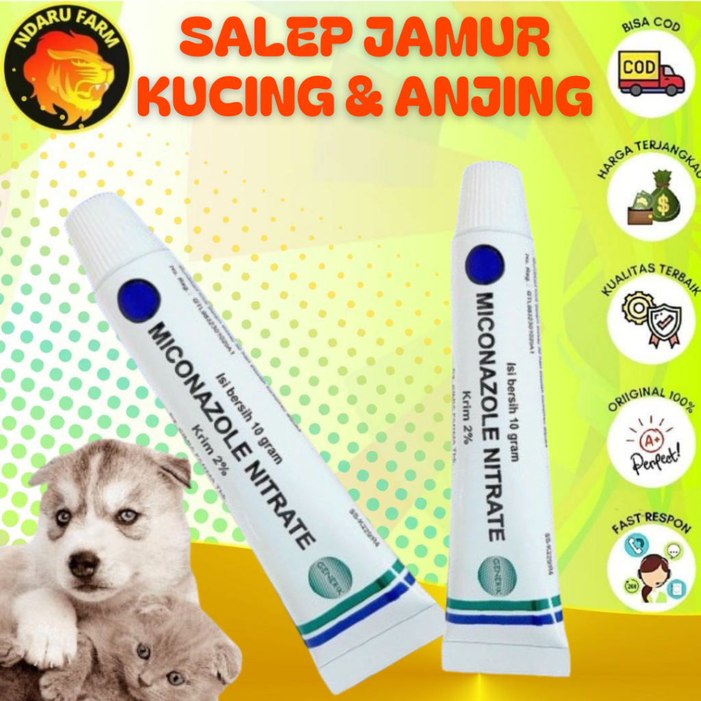 Jual Obat Salep Miconazole Nitrate 10g Jamur Luka Infeksi Kucing Anjing ...