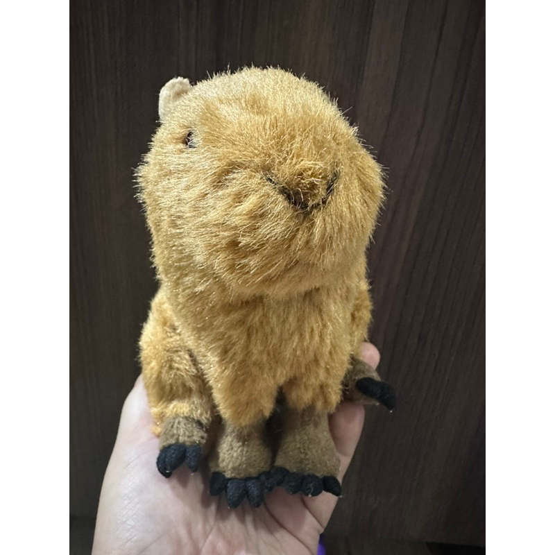 Jual Boneka Capibara Bulu Klasik A Show Original | Capibara Plush ...