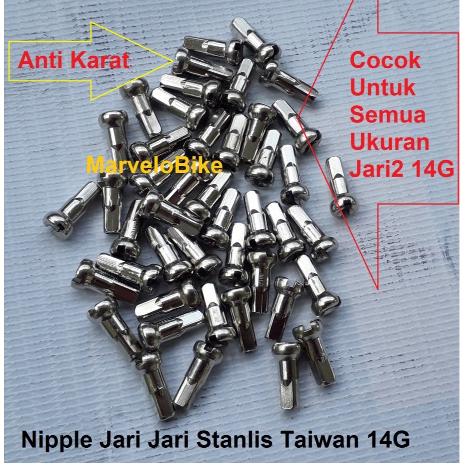 Jual Nepel Nipel Mur Jari Jari Sepeda Stainless Taiwan 14G x 12mm ...