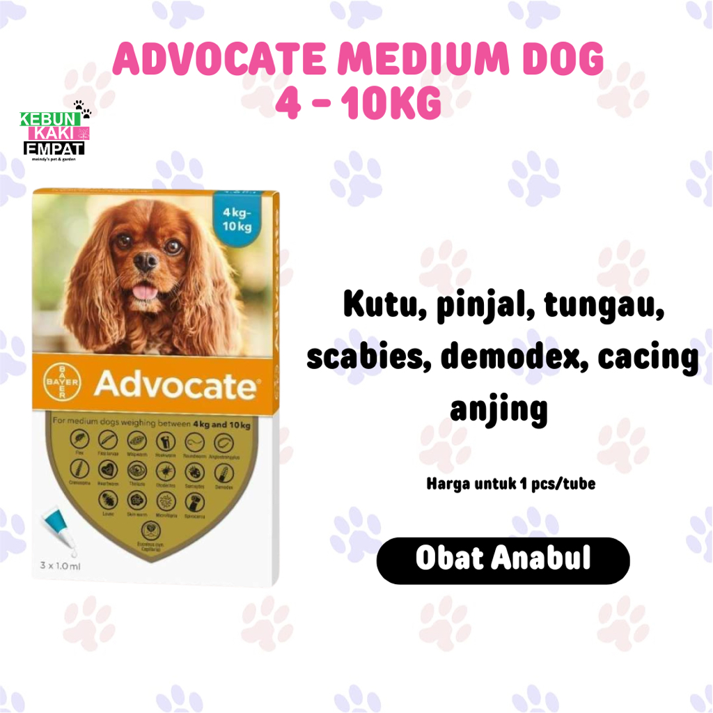 Jual Advocate Medium Dog 4 - 10kg obat kutu pinjal tungau scabies ...