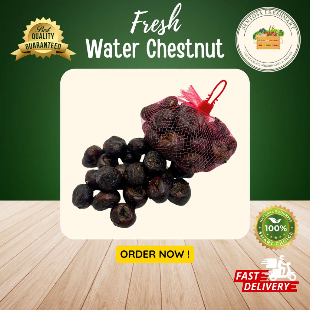Jual [SENTOSA FRESHMART] WATER CHESTNUT (MATHI) per KG | Shopee Indonesia