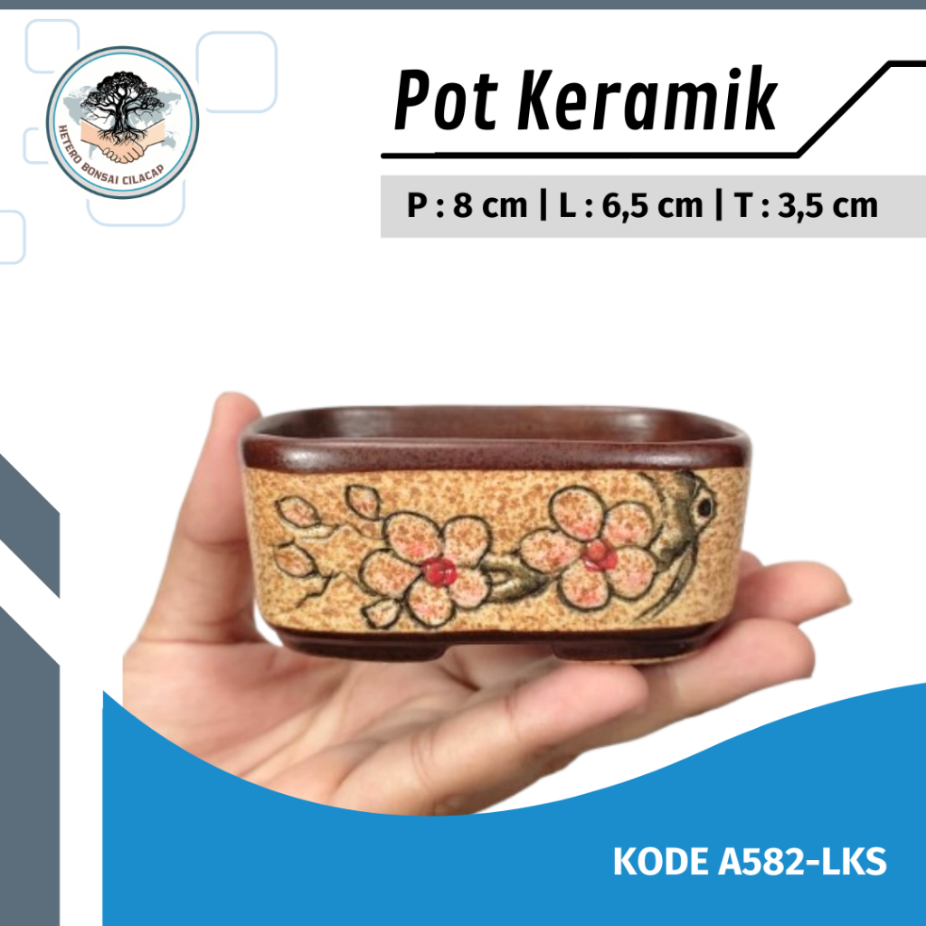 Jual Pot Keramik Bonsai Mame Shito Tanaman Hias Kotak Segi Empat | Shopee Indonesia