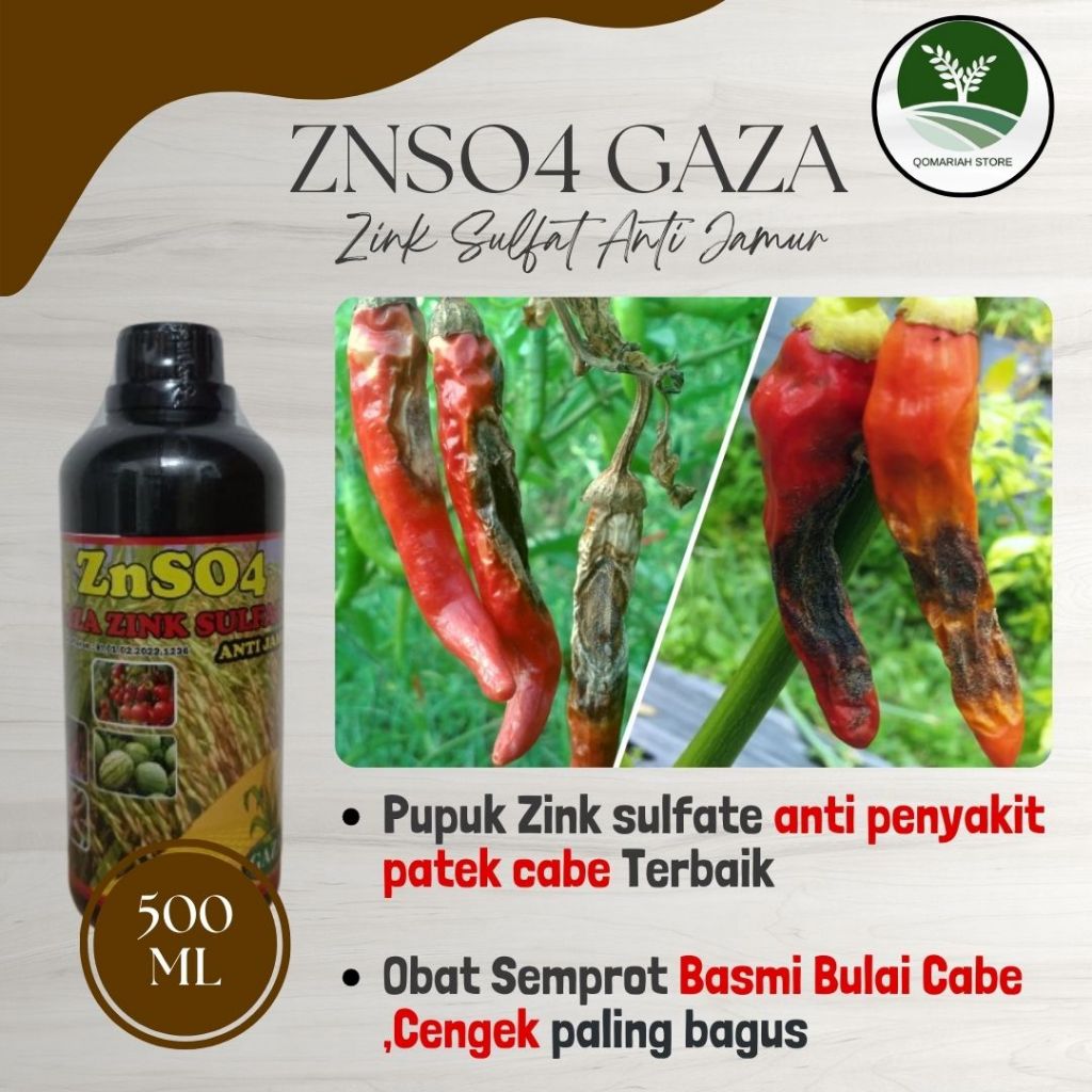 Jual Obat Semprot Patek Cabe Paling Ampuh ZNSO4 GAZA - Fungisida Bulai ...