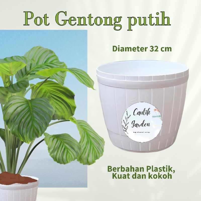 Jual Pot Gentong Putih Diameter 32 cm | Shopee Indonesia