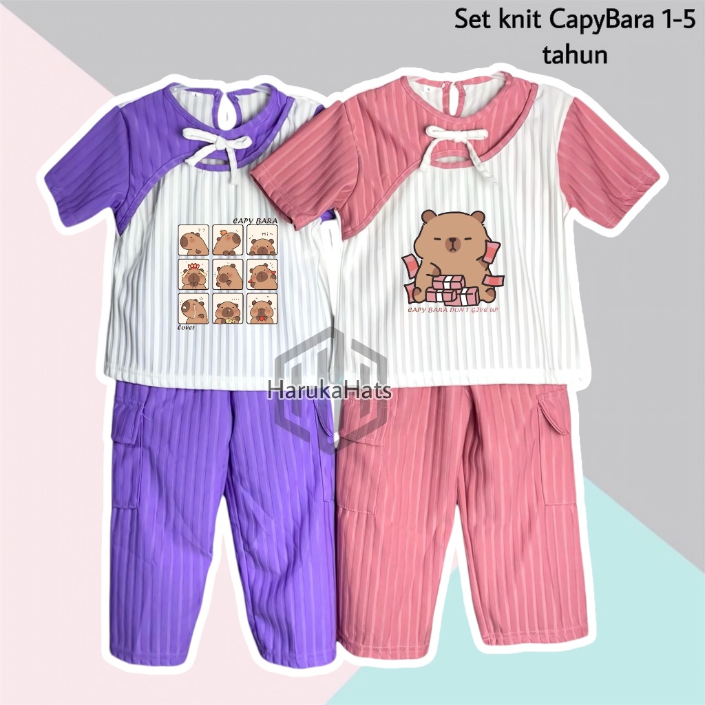 Jual Baju CapyBara anak perempuan 1-5 tahun bahan knit setelan lengan ...