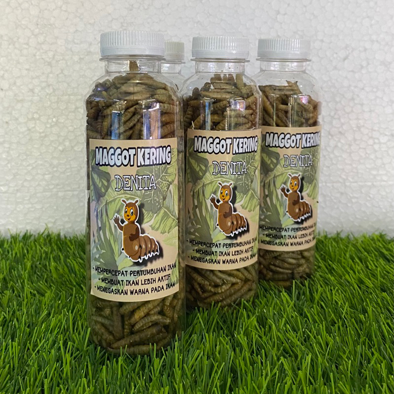 Jual Dried Maggot Kering botol / Dried Maggot Kering Grade A+ Premium ...