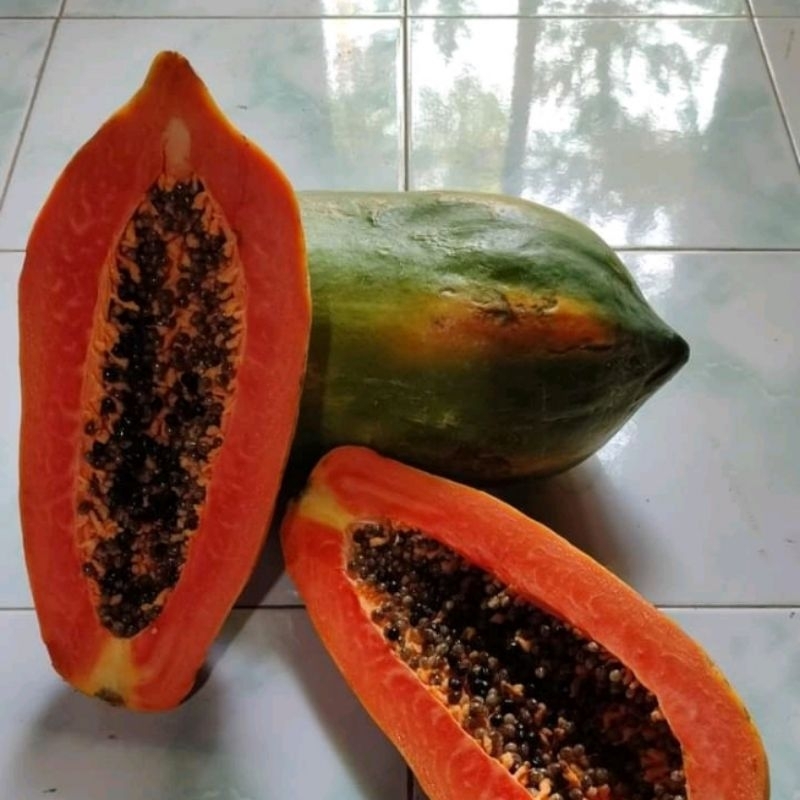Jual Pepaya | Pepaya California | Pepaya Thailand Segar(-/+ perbiji 1 ...