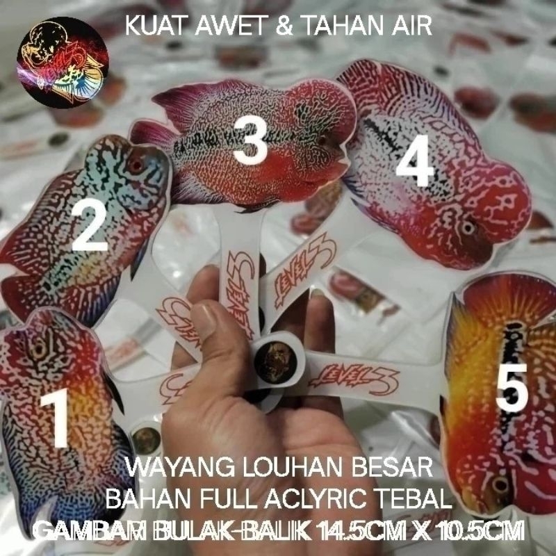 Jual Wayang Louhan Akrilik Untulan Ikan Lohan Full Aclyric Besar Tebal ...