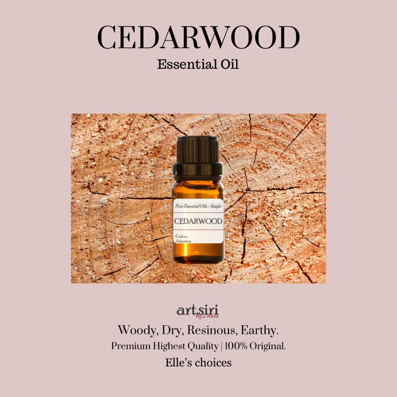 Jual CEDARWOOD Essential Oil | Shopee Indonesia