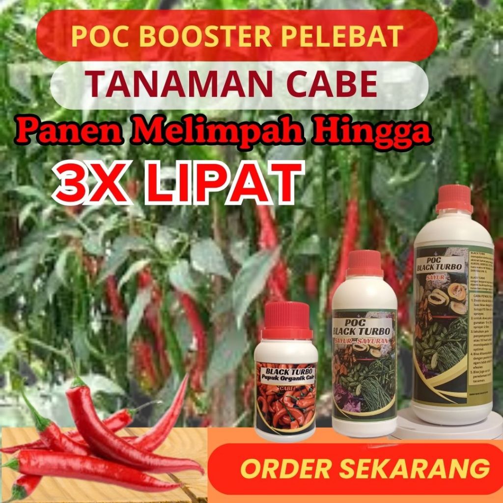 Jual Pupuk Cabe Boster Lengkap Untuk Masa Pertumbuhan Agar Berbuah Lebat Tidak Rontok | Pupuk ...