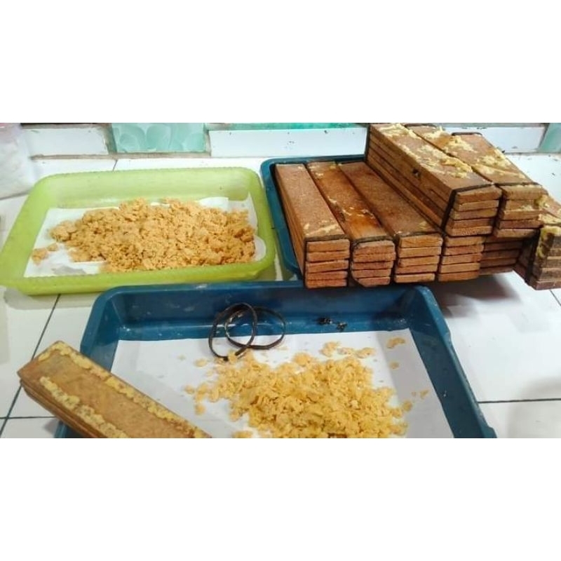 Jual Telur Maggot BSF/Bibit Maggot BSF 22 gram fresh kualitas Terjamin ...