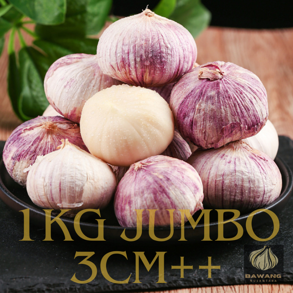 Jual Bawang Putih Tunggal Super Besar Sortir Ukuran 2,5-3 Cm, Dan Jumbo ...